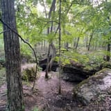 Hickory Ridge Outer Trail, Tennessee - 355 Reviews, Map | AllTrails