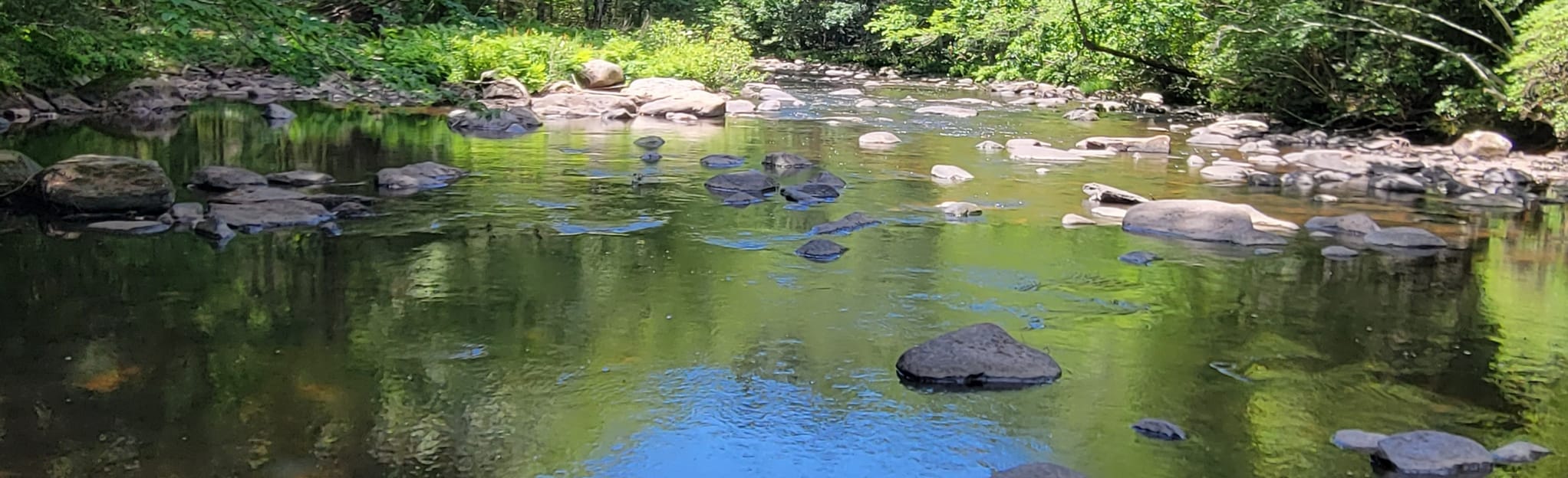 CCC Trail Loop, Connecticut - 409 Reviews, Map | AllTrails