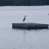 Mooween State Park Loop , Connecticut - 387 Reviews, Map | AllTrails