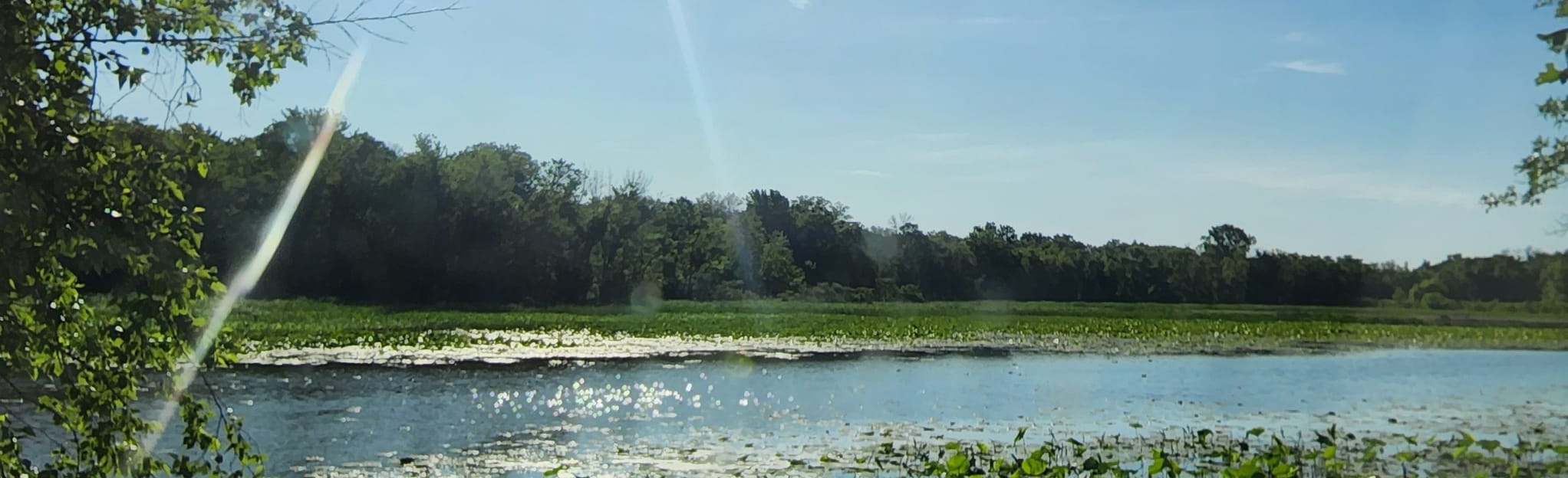 Thomas Sand Prairie Trail: 26 Reviews, Map - Illinois | AllTrails