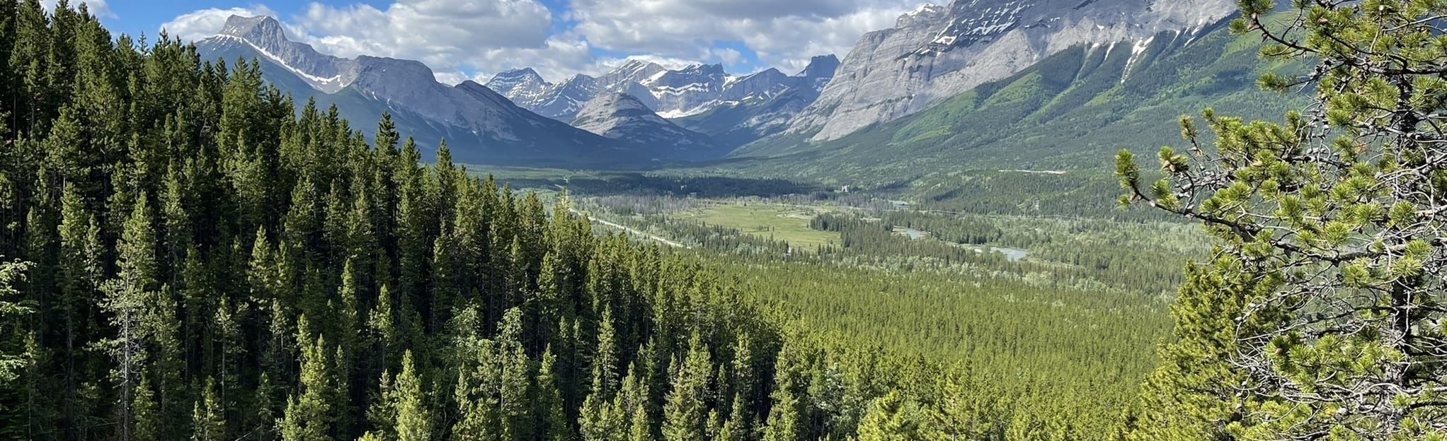 Kananaskis Falls, Alberta, Canada - 287 Reviews, Map | AllTrails