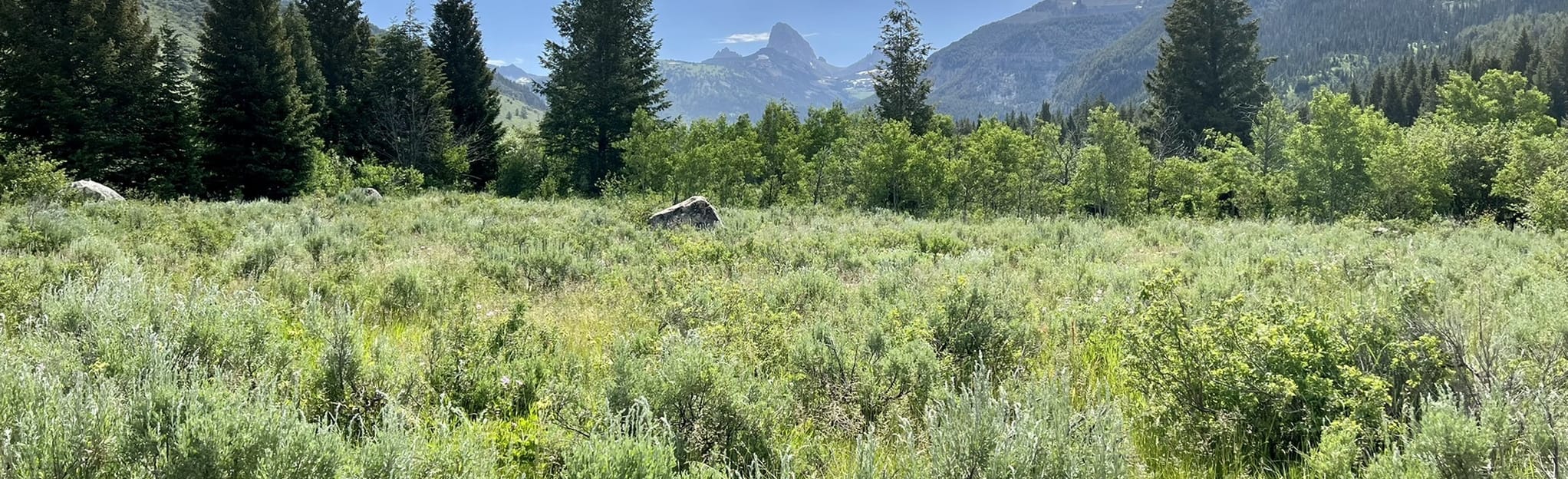 Sheep Bridge MTB Trail, Wyoming - 373 Reviews, Map | AllTrails