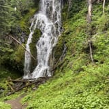 PJ Lake Trail, Washington - 155 Reviews, Map | AllTrails