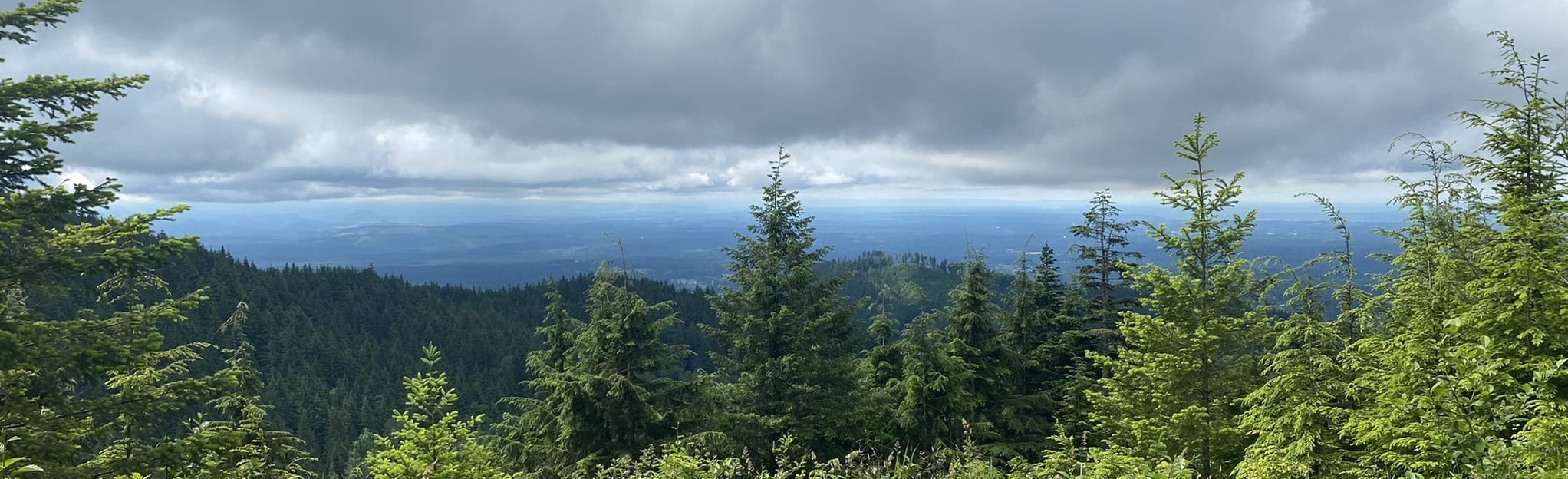 East Tiger Mountain Summit via Main Tiger Mountain Road: 475 Reviews ...