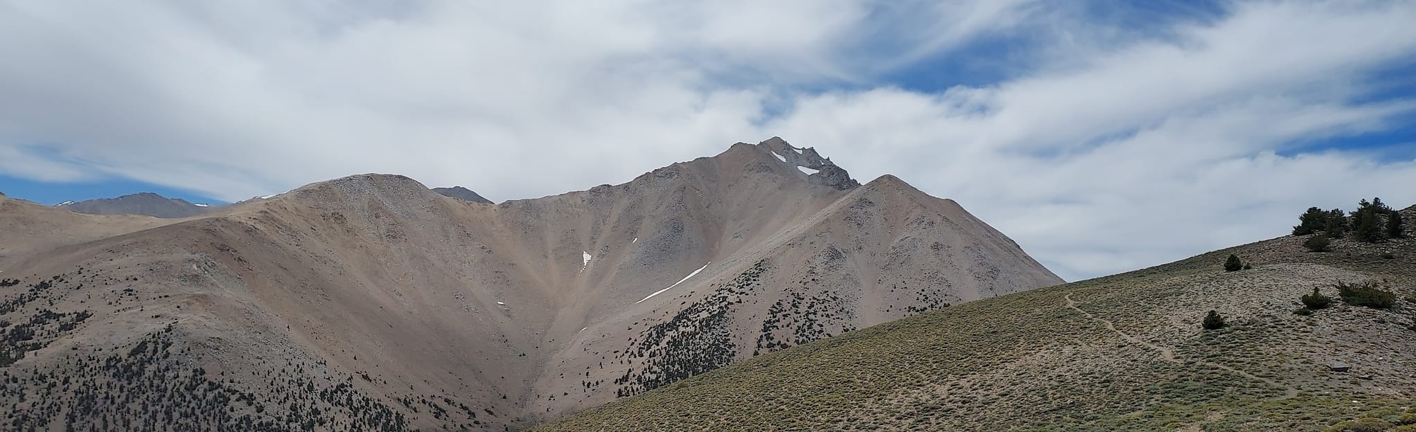 Boundary Peak via Queen Mine Trail: 471 fotos - Nevada | AllTrails