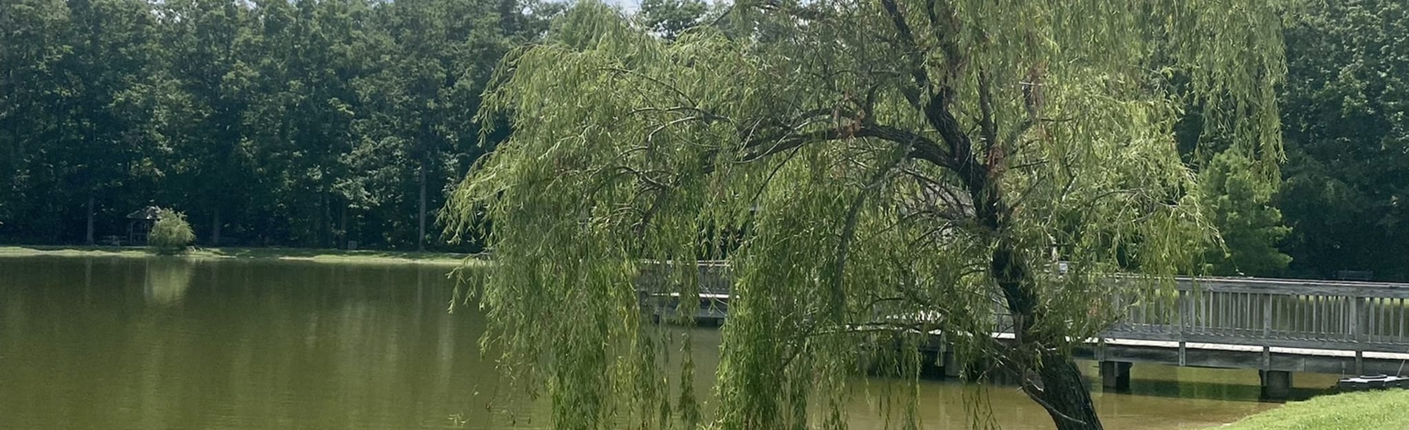 Dorey Park Trails, Virginia - 171 Reviews, Map | AllTrails