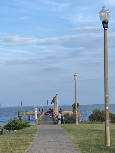 Best Hikes and Trails in Monitor Merrimac Overlook Park Trail | AllTrails