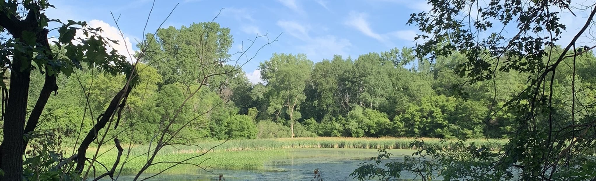 Aspen and Prairie Loops: 288 Reviews, Map - Minnesota | AllTrails