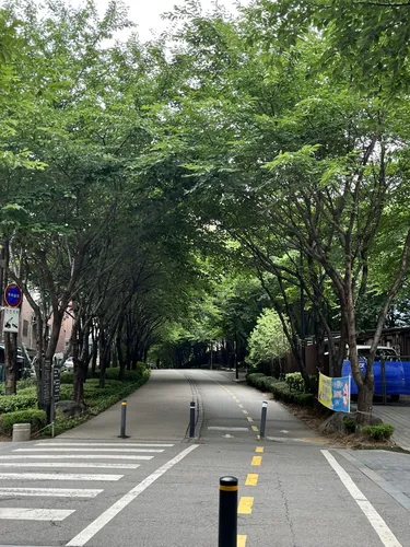 Best Walking Trails in Mapo-gu | AllTrails