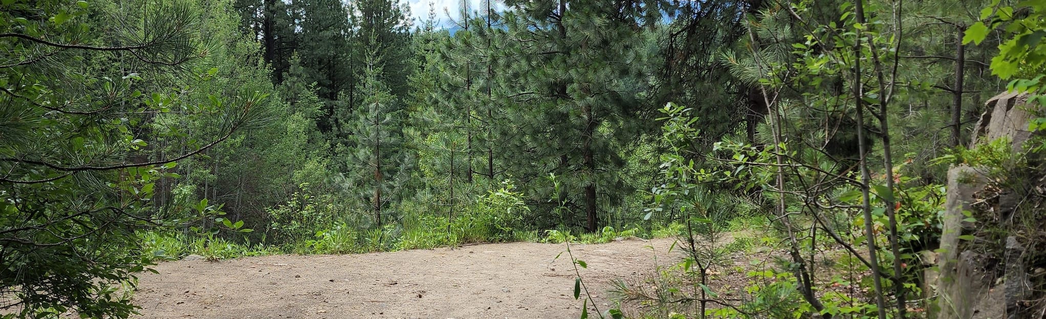 Miral Heights Trail to Raven Creek Trail Viewpoint: 34 Reviews, Map ...