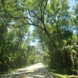 Bulow Woods Hiking Trail, Florida - 227 Reviews, Map | AllTrails