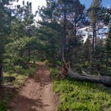 Stultz Trail, Colorado - 121 Reviews, Map | AllTrails