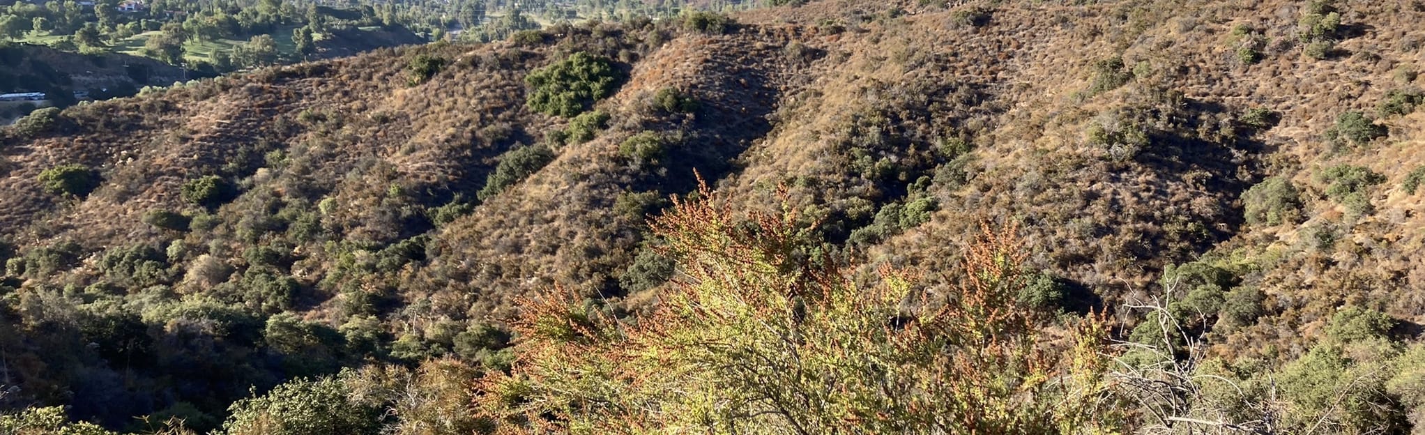 Caballero Canyon Inner Ridges Loop: 70 Reviews, Map - California ...