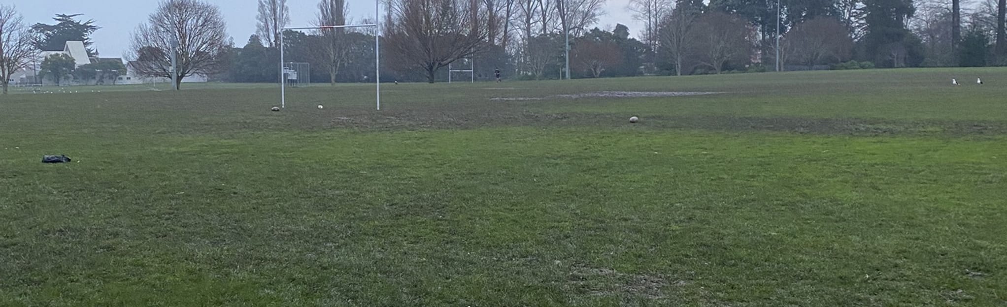 Isel Park Walk: 0 Reviews, Map - Nelson-Tasman, New Zealand | AllTrails