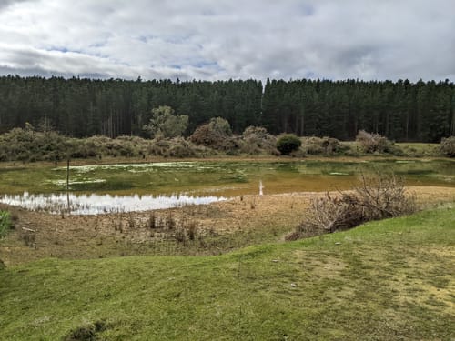 Best Hikes and Trails in Second Valley Forest Reserve | AllTrails