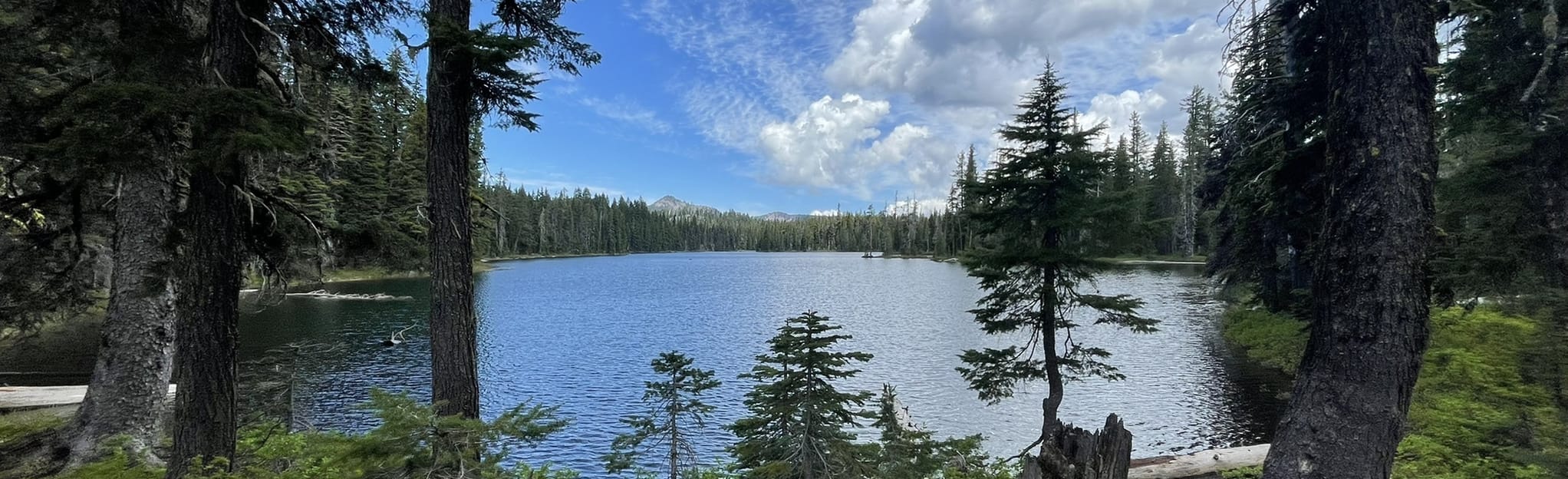 Cold Spring Trail, Oregon - 173 Reviews, Map | AllTrails