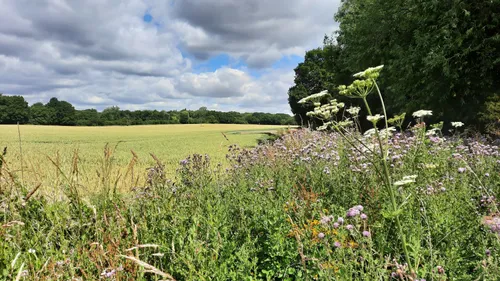 Best Hikes and Trails in Hanningfield Reservoir Nature Discovery Park ...