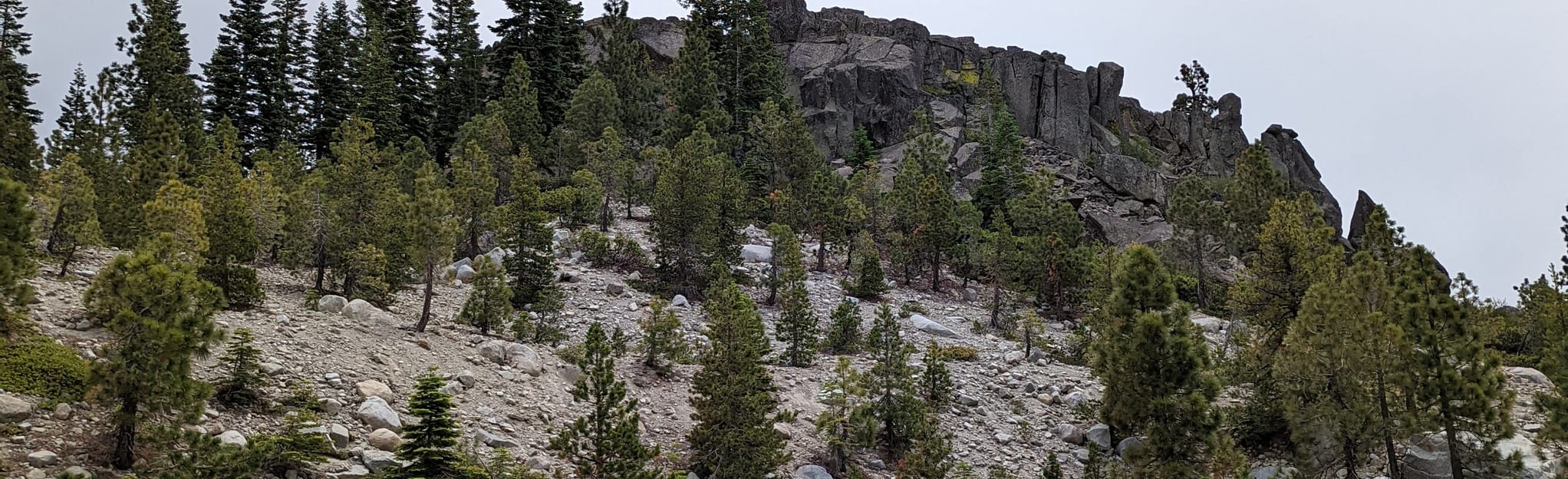 Chipmunk Bluff Trail: 16 Reviews, Map - California | AllTrails