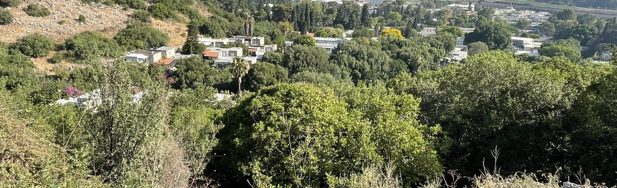 Kiryat Tivon, Muhraqa and Nahal Yagur via Forresters Path, Haifa ...