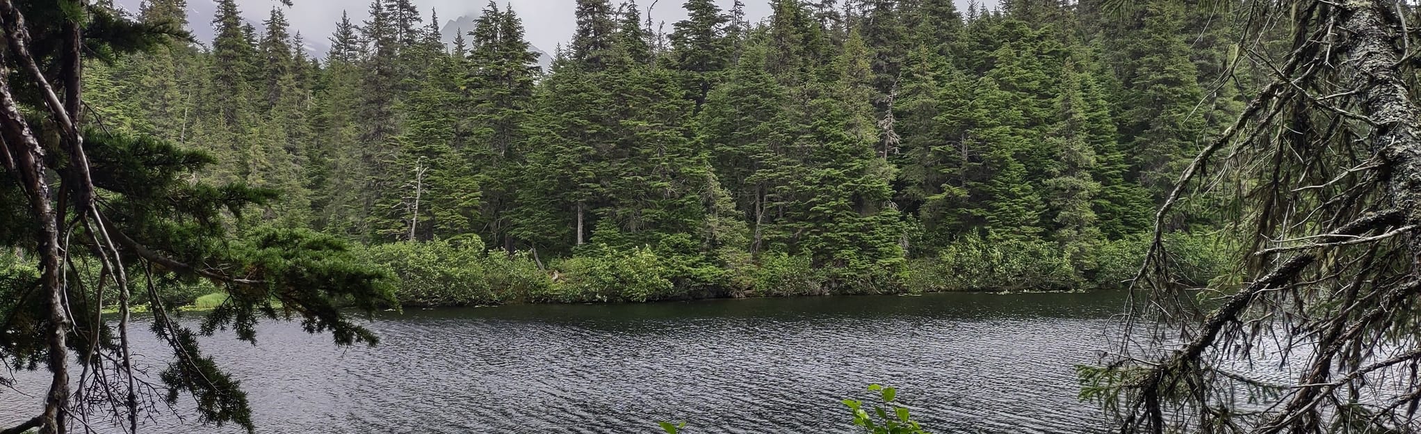 Long Lake via Primrose Trailhead: 21 Reviews, Map - Alaska | AllTrails