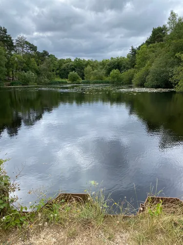 Best Hikes and Trails in Yateley Common Country Park | AllTrails