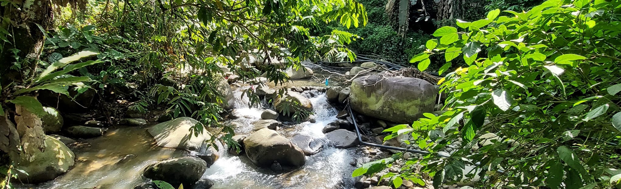 Lepoh Waterfall: 140 Reviews, Map - Selangor, Malaysia | AllTrails