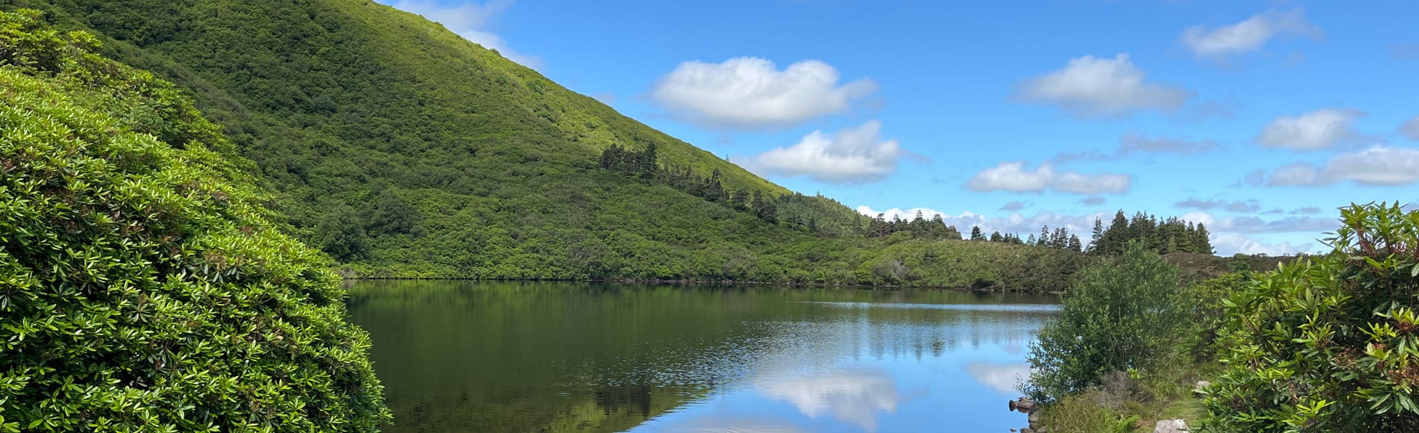 Bay Lough, County Tipperary, Ireland - 46 Reviews, Map | AllTrails