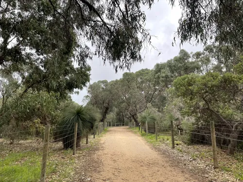 Best Hikes and Trails in Star Swamp Bushland Reserve | AllTrails
