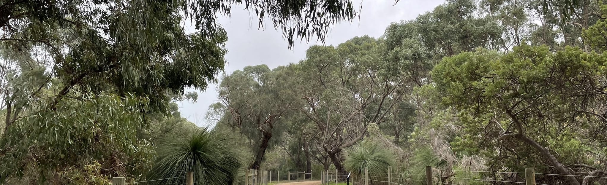 Star Swamp Inner Loop: 24 Reviews, Map - Western Australia, Australia ...