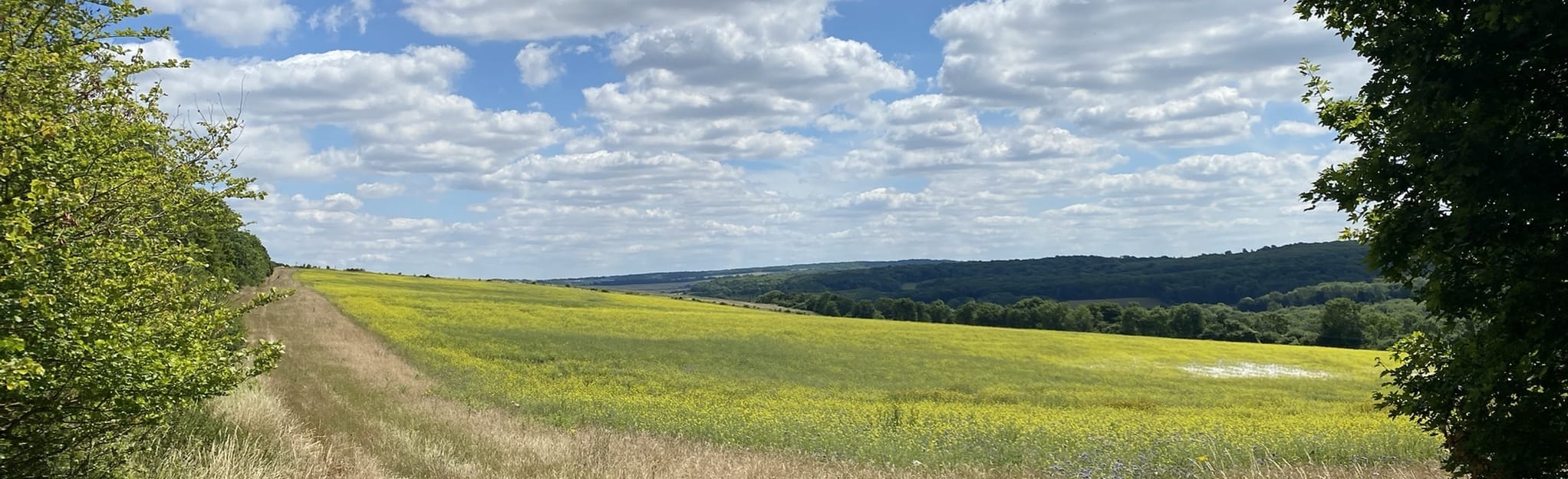 Ranscombe and Great Wood Circular, Kent, England - 117 Reviews, Map ...