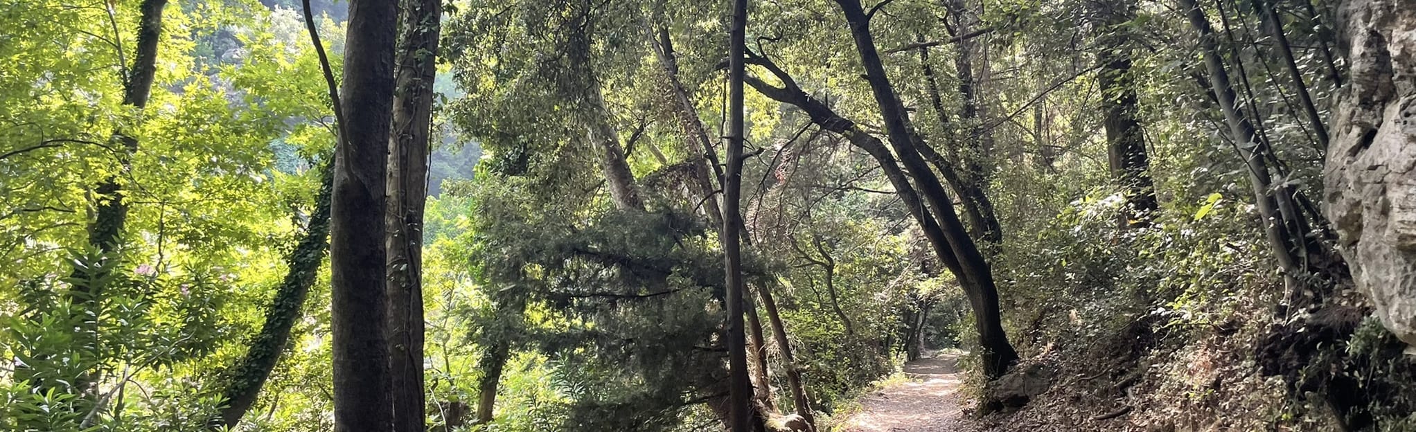 Potami Waterfalls: 17 Reviews, Map - Samos, Greece | AllTrails