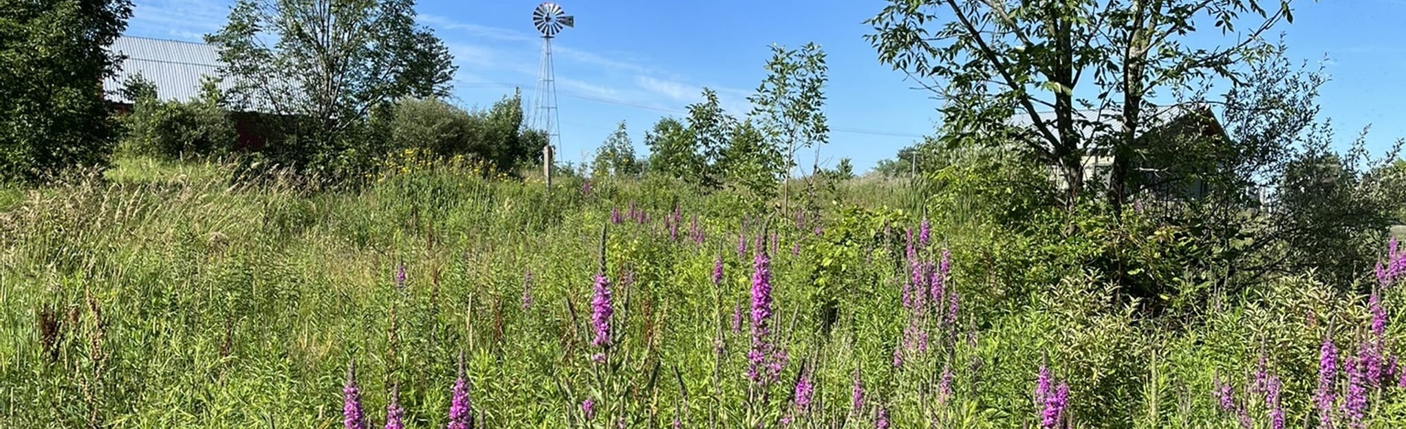 Grand Ravines Loop from North Trailhead: 300 Reviews, Map - Michigan ...
