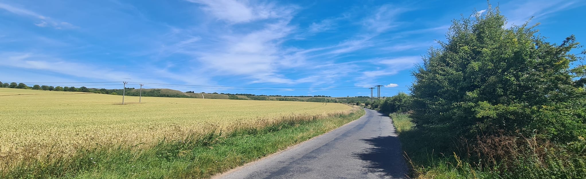 Dunstable Downs Circular Walk: 216 Reviews, Map - Bedfordshire, England ...