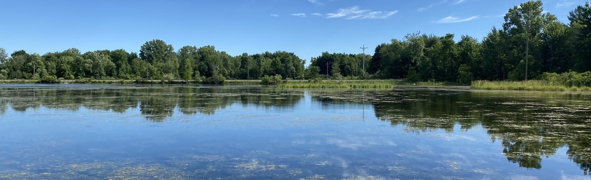 Hawk Meadow Park Loop: 262 Reviews, Map - Michigan | AllTrails