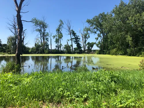 10 Best Trails and Hikes in Elgin | AllTrails