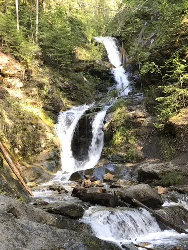 Best Hikes and Trails in Shuswap Lake Provincial Park | AllTrails