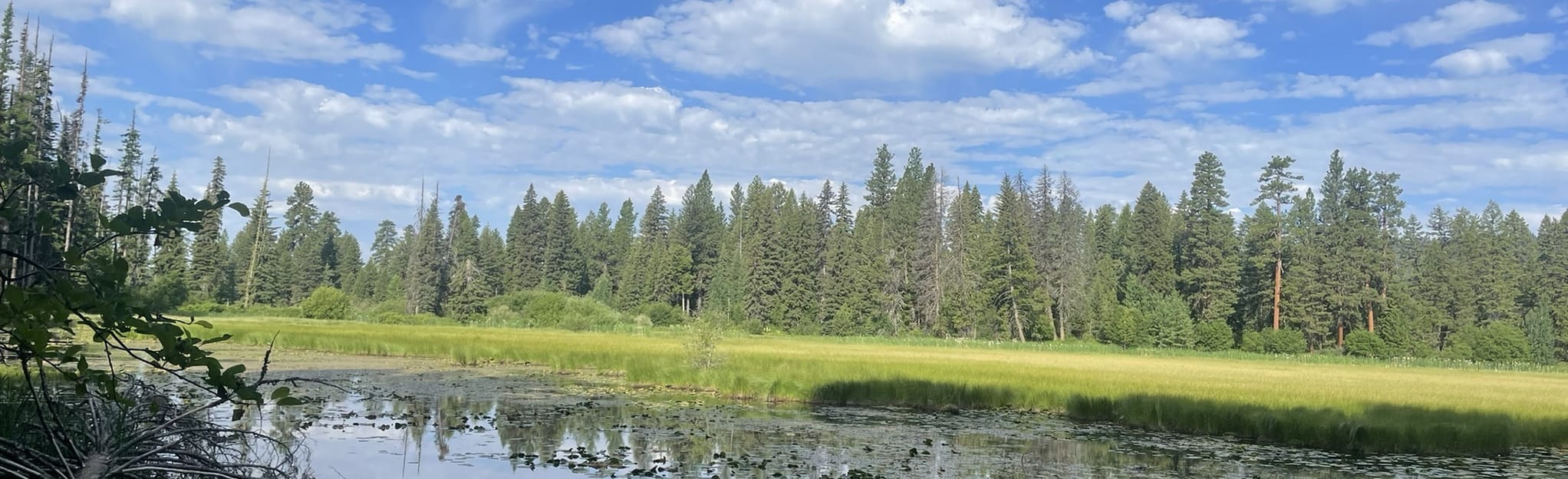 Meadow Marsh, Lily Marsh, Ridgeline, Huckleberry, and Peninsula Loop ...