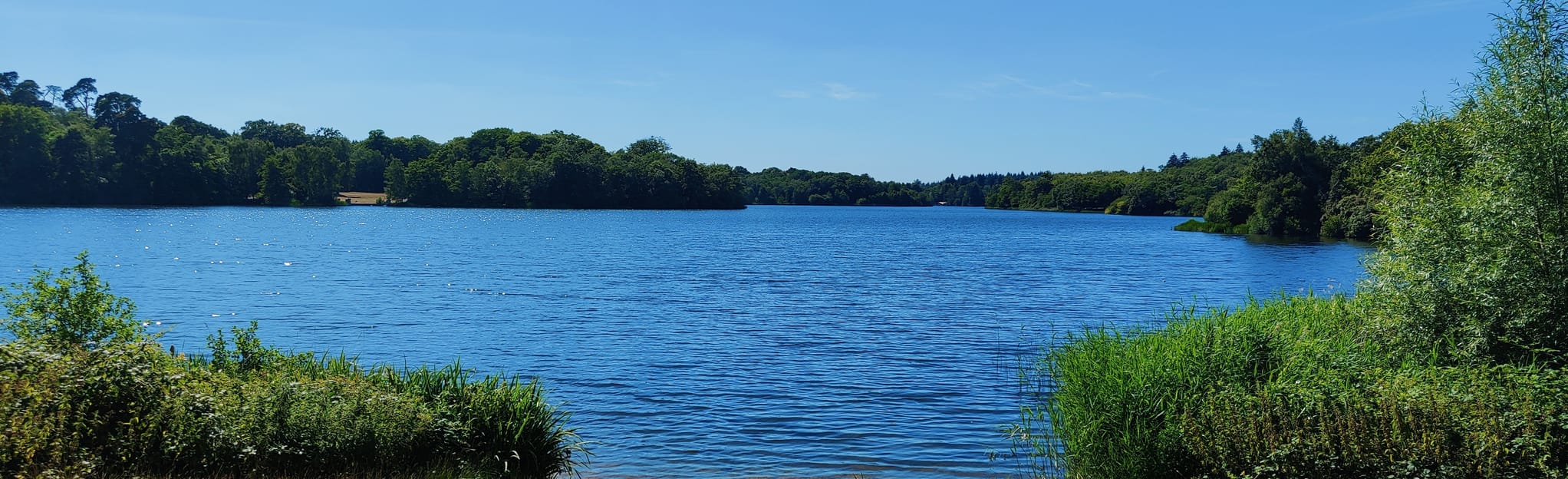 Virginia Water Gardens, Surrey, England - 22 Reviews, Map | AllTrails