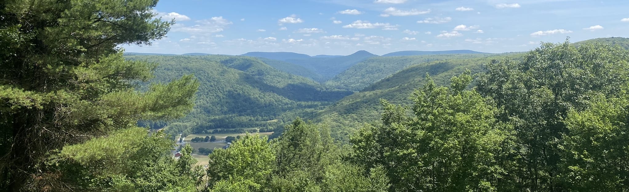 Katy Jane Trail Loop: 309 Reviews, Map - Pennsylvania | AllTrails