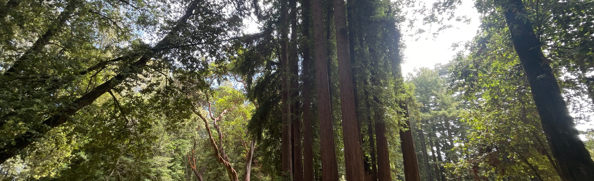 Banana Slug Hike (Pathways of Wildlife): 55 Reviews, Map - California ...