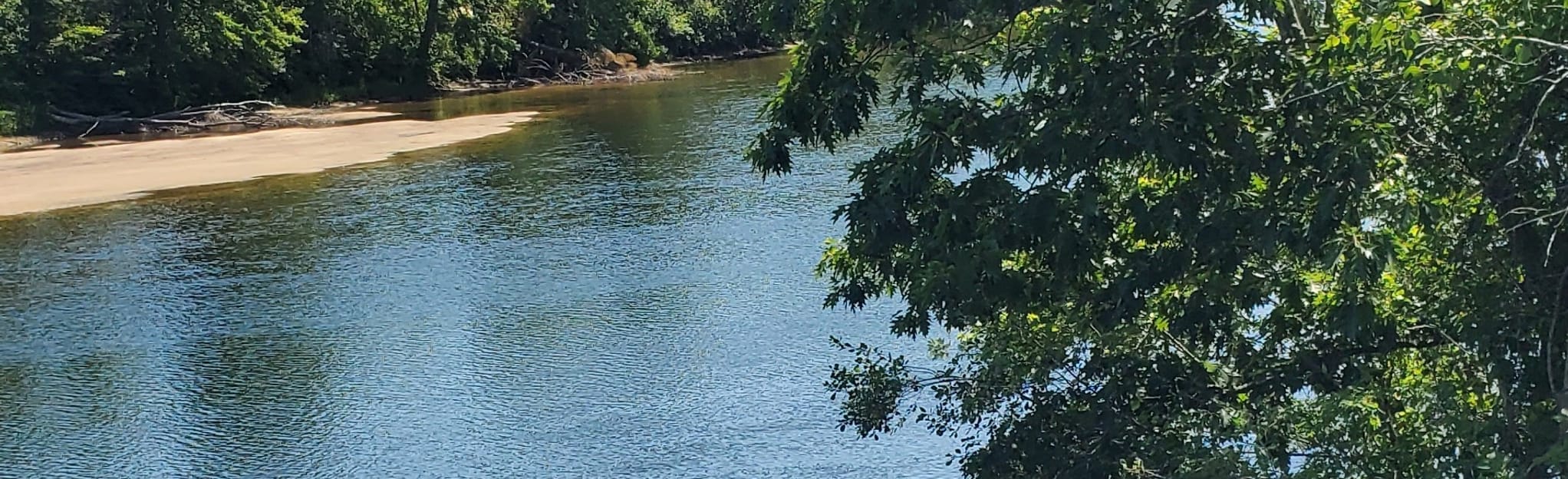 Odell Park Loop: 12 Reviews, Map - New Hampshire | AllTrails