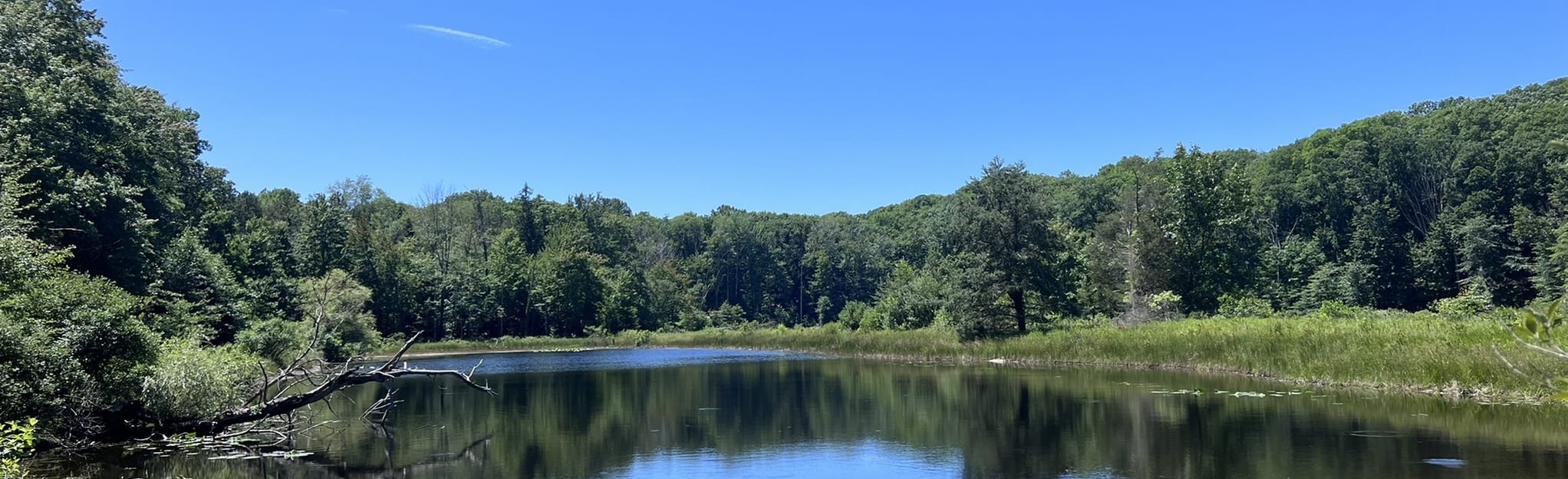 Ross Coastal Plain Marsh Preserve Trail, Michigan - 168 Reviews, Map ...