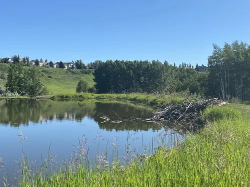 10 Best Trail Running Trails in Calgary | AllTrails
