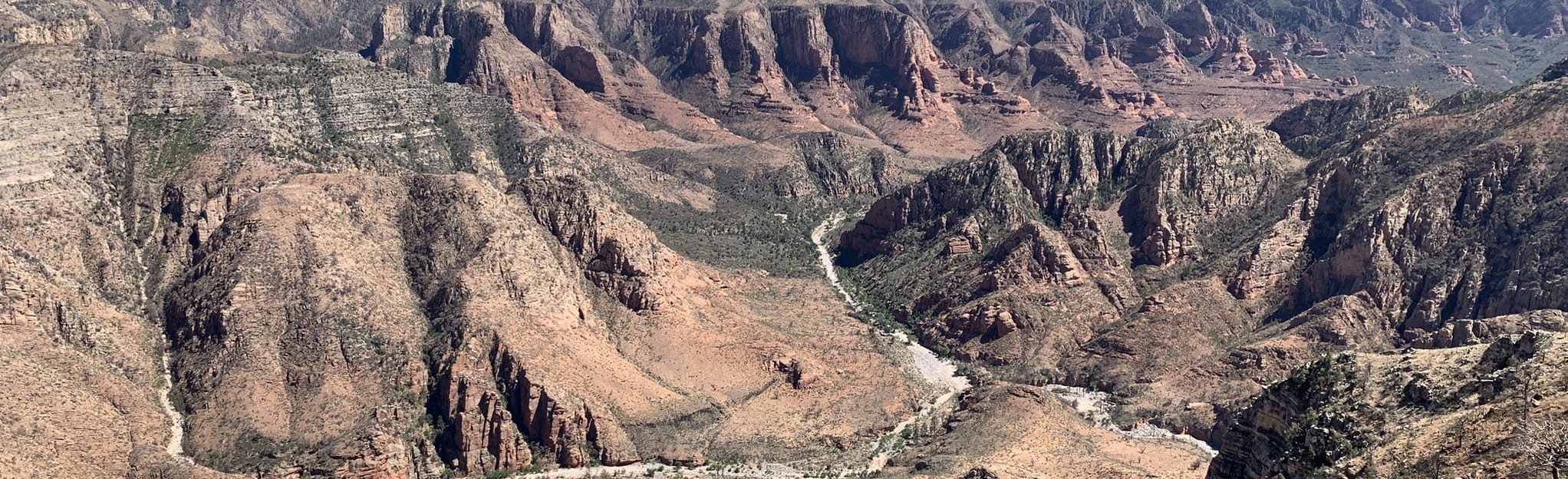 Sycamore Point Trail: 16 Reviews, Map - Arizona | AllTrails