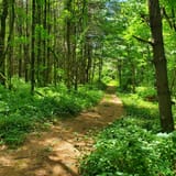 Capen Hill Nature Sanctuary, Massachusetts - 234 Reviews, Map | AllTrails