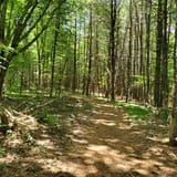 Capen Hill Nature Sanctuary, Massachusetts - 234 Reviews, Map | AllTrails
