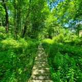 Capen Hill Nature Sanctuary, Massachusetts - 234 Reviews, Map | AllTrails