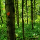 Capen Hill Nature Sanctuary, Massachusetts - 224 Reviews, Map | AllTrails