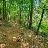 Capen Hill Nature Sanctuary, Massachusetts - 234 Reviews, Map | AllTrails