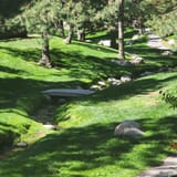 Caughlin Ranch Trails, Nevada - 696 Reviews, Map | AllTrails